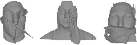 Some Examples Of Artificially Occluded Faces Starting From The Original
