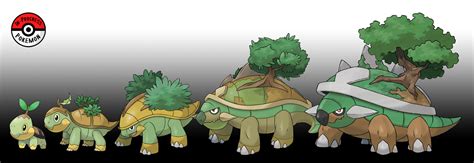 387 389 Turtwig Line By Inprogresspokemon On Deviantart