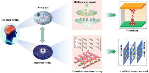Memristor-based neural networks: a bridge from device to artificial intelligence - Nanoscale ...