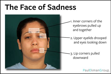 What Is Sadness Feeling Sadness Paul Ekman Group