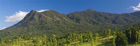 Mount Bartle Frere Cairns Tallest Peak Adventure Awaits