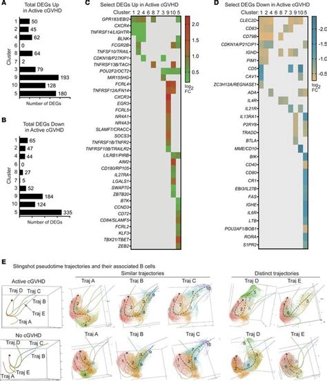 JCI Insight Single Cell Landscape Analysis Unravels Molecular Programming Of The Human B Cell