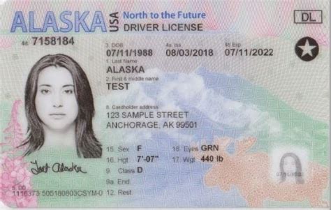 What Drivers Licenses Look Like In Each State