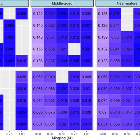 Bivariate Distribution Of M And W At Different Tree Ages Download