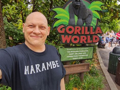 Harambe Documentary Spearheaded By Sphs Alumni Severna Park