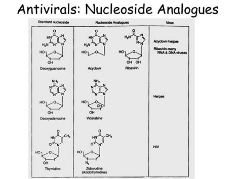 Ppt Host Defense Vaccine Interferon Antiviral Drugs Powerpoint