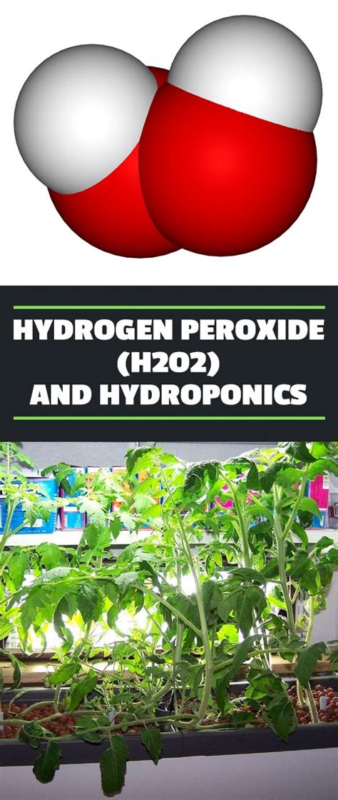 Hydrogen Peroxide H2o2 And Hydroponics Epic Gardening Hydroponics Hydroponic Farming