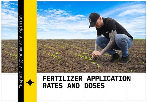 Fertilizer Application Rates And Doses English Wonder Corporation