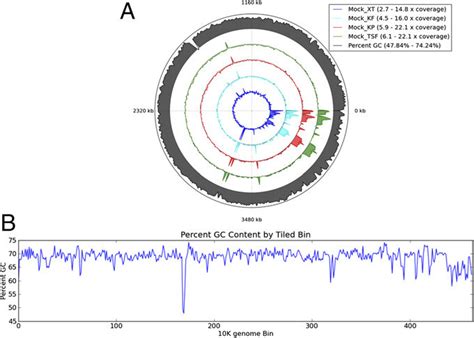 Map Of Mean Gc Content And Mean Relative Sequencing Depth By Library