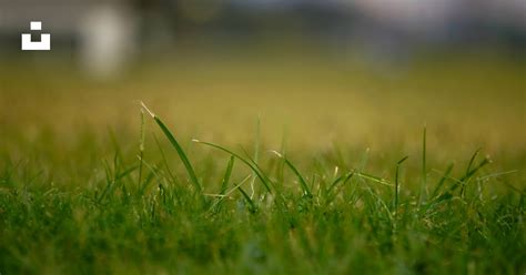 A Blurry Photo Of A Grassy Field With A House In The Background Photo Free Outdoor Image On