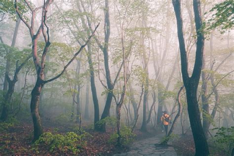 影像中国网 中国摄影家协会主办