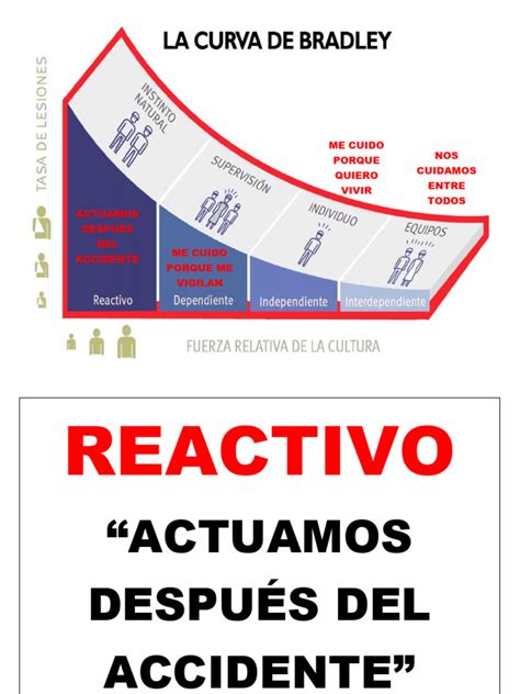 Curva Bradley Etapas Pdf