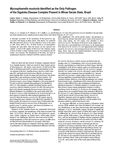 Mycosphaerella Musicola Identified Sigatoka Pdf Polymerase Chain