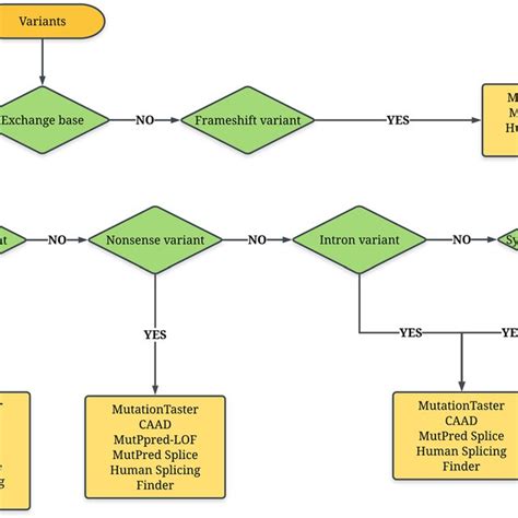 Flowchart Showing The Steps To Characterize The Pathogenicity Of