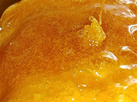 What Is Winterization Extract Labs