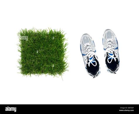 Artificial Grass