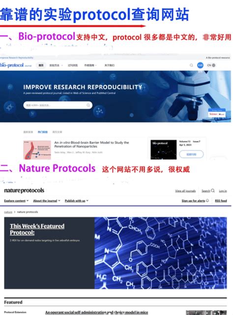 实验protocol查询 怎么找 生物实验方法查询网址推荐 别摸鱼导航