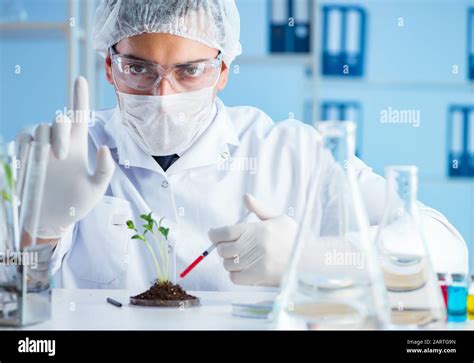 The Male Scientist Researcher Doing Experiment In A Laboratory Stock