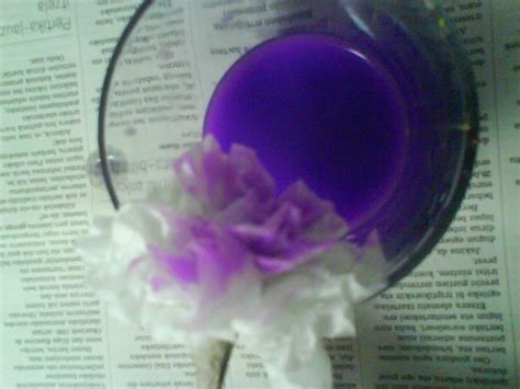 STOPCOMPRAS FLORES DE PAPEL PASO A PASO Stopcompras