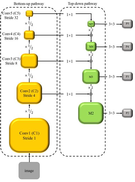 Feature Pyramid Network Representing Bottom Up And Top Down Pathways