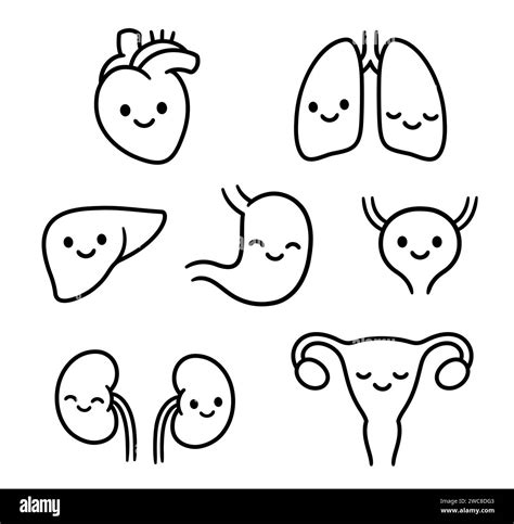 Cute Cartoon Organ Stock Vector Images Alamy