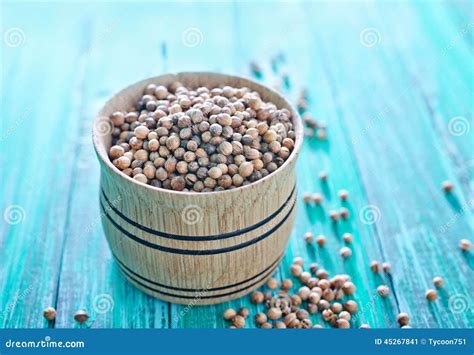 Coriandr Stock Image Image Of Herbal Aromatic Cuisine 45267841