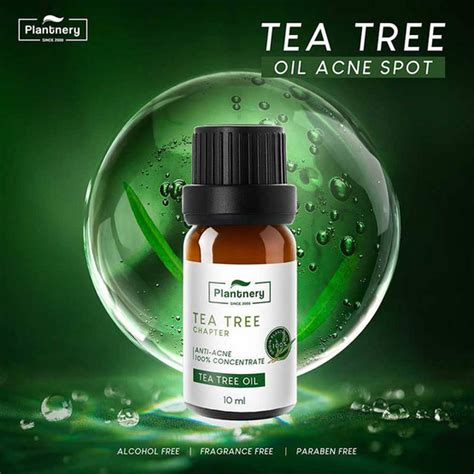 Plantnery น้ำมันทีทรีเข้มข้น Tea Tree Oil Acne Spot 10มล Allonline