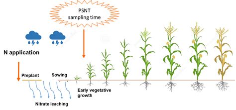Whats The Right Psnt Number New Research Refines The Critical