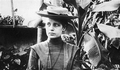 Dr Lise Meitner Physicist And Atomic Pioneer