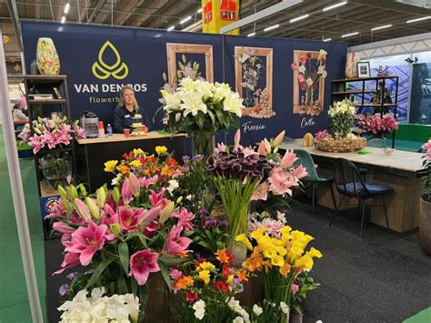 Bulbs Tubers Freesia Calla Lilie Roselily Van Den Bos Flowerbulbs Bv