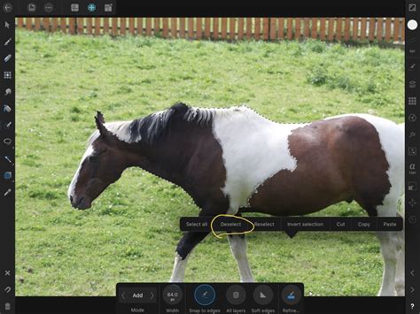 Ipad For Designer Deselect Selection Pre V2 Archive Of Ipad Questions Affinity Forum