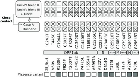 Single Nucleotide Polymorphisms Identified By Whole Genome Sequencing Download Scientific