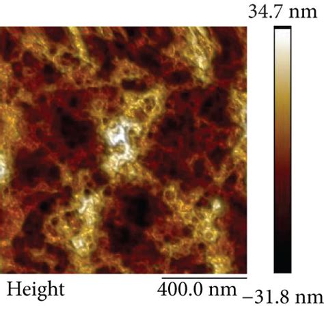 Example Images Showing The Hydrated Media A Topography B Dmt