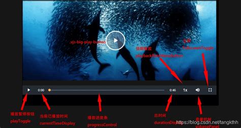 Videojs插件的参数解释videojs Controlbar 属性 Csdn博客