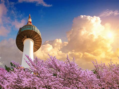 Seoul Korea Interesting Facts At Will Cornish Blog