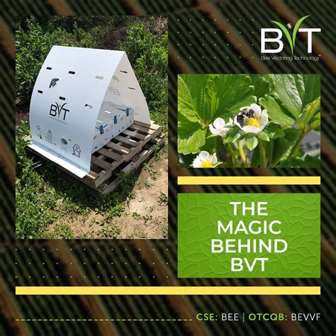 Bvt Bee Vectoring Technologies On Linkedin How Do We Enhance Plant Health And Growth Through…
