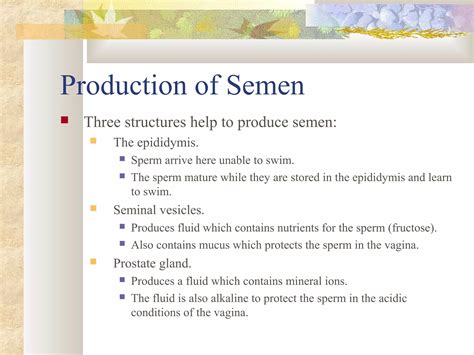 11 4 Production Of Gametes Ppt