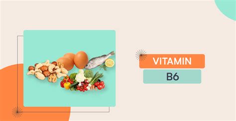 Vitamin B6 Their Benefits Daily Intake And Foods To Have