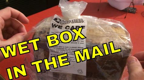 Usps We Care Box Soaking Wet Whats Inside Youtube