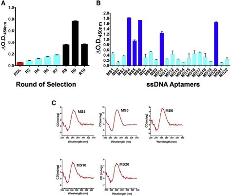Showing Binding Of Aptamer Pool And Monoclonal Aptamer Candidate To Ms