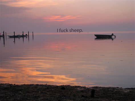 I Fuck Sheep Imgur
