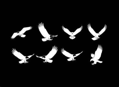 Eagle Flight Animation Sequence Premium Vector