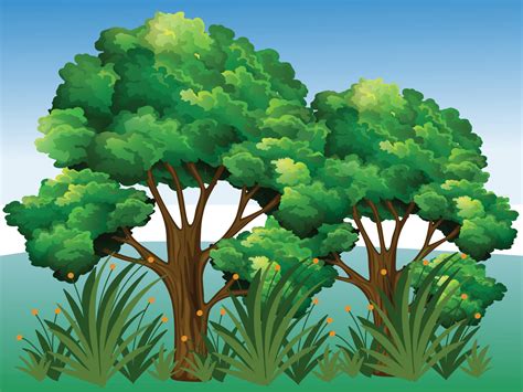 Tree Canopy Vector Art Icons And Graphics For Free Download