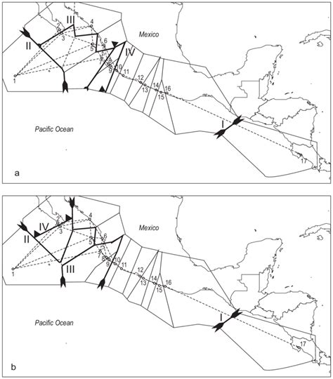 Delaunay Triangulated Connectivity Network Of The Sample Sites With Download Scientific Diagram