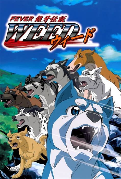 Ginga Densetsu Weed Tvmaze Ginga Densetsu Weed Tvmaze