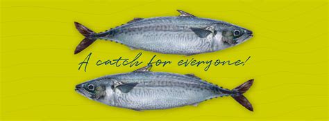 Pdc Performance Pdc Performance Development Centre