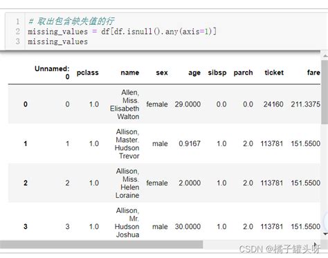 数据预处理pandas读取附件中的数据完成如下任务 1 缺失值分析 11 统计缺失值数量和比例 1 Csdn博客