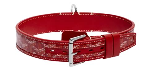Goyard Colien Franklin Belt Whats On The Star