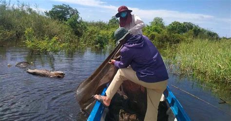 បទល្មើសរបាំងស្បៃមុង ៨កន្លែង