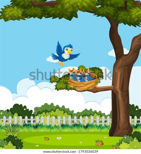 6 035 Cartoon Backgrounds Tree Nest Royalty Free Photos And Stock Images Shutterstock